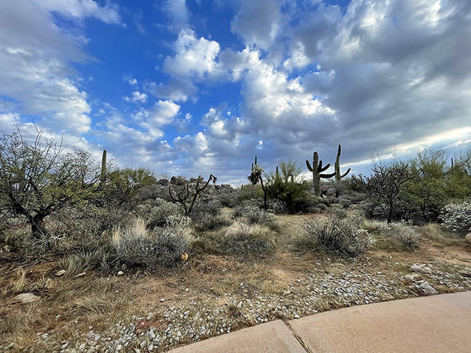 vistoso trails nature preserve 9