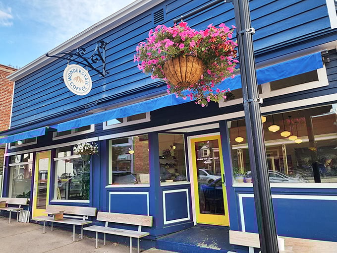 wonderstate coffee bayfield 1