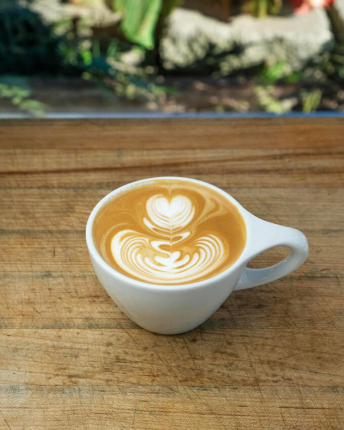 wonderstate coffee bayfield 4