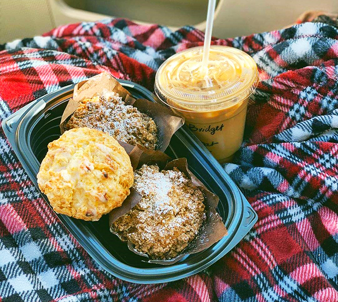 wonderstate coffee bayfield 6