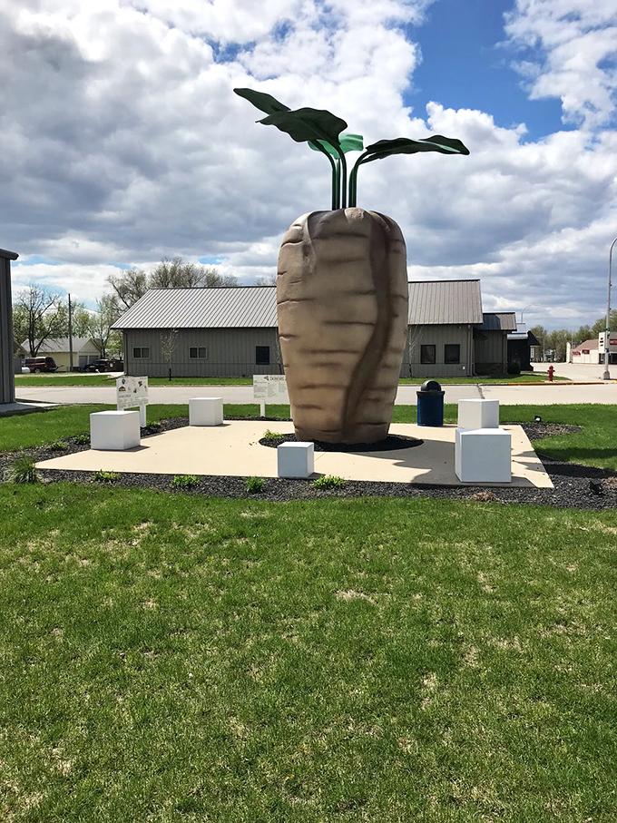 world's largest sugar beet and central park 2