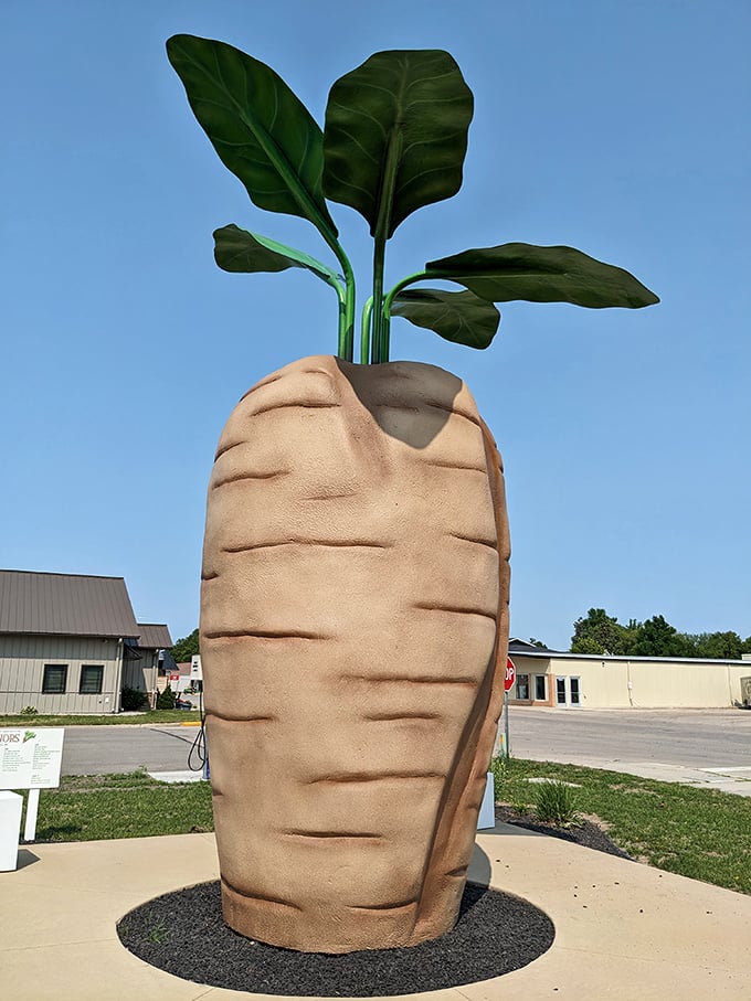 world's largest sugar beet and central park 3