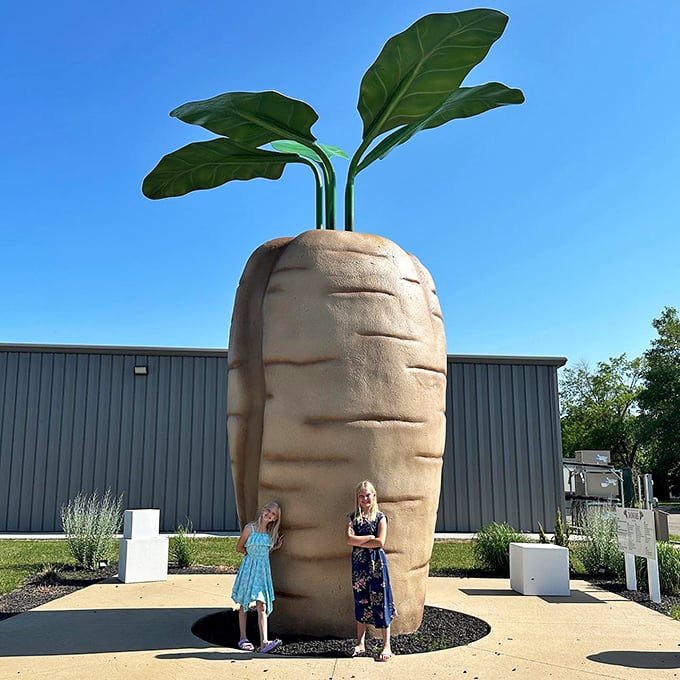 world's largest sugar beet and central park 5