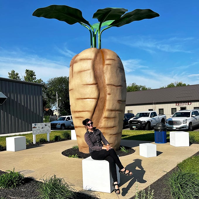 world's largest sugar beet and central park 8