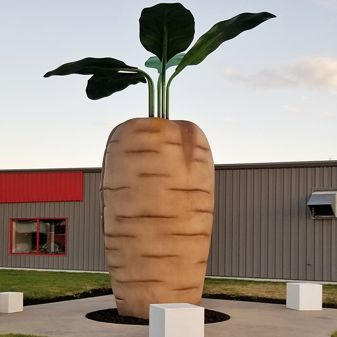 world's largest sugar beet and central park 9