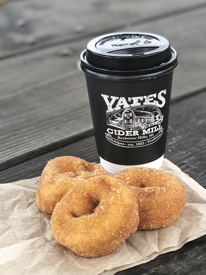 yates cider mill 3