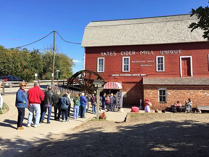 yates cider mill 7