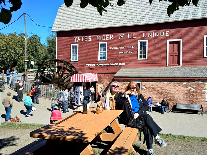 yates cider mill 8
