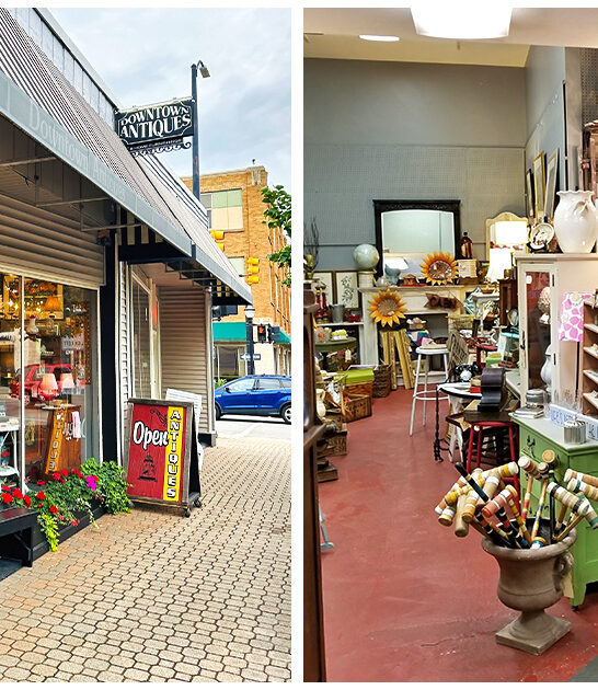 antique-shop-treasures-michigan FTR