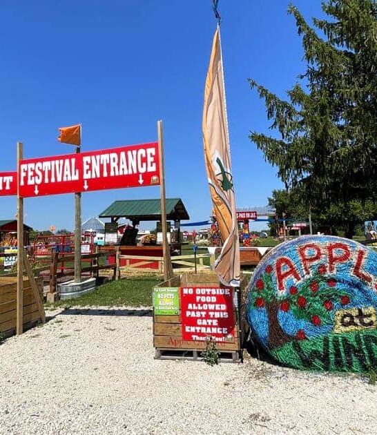 apple cider donuts illinois ftr