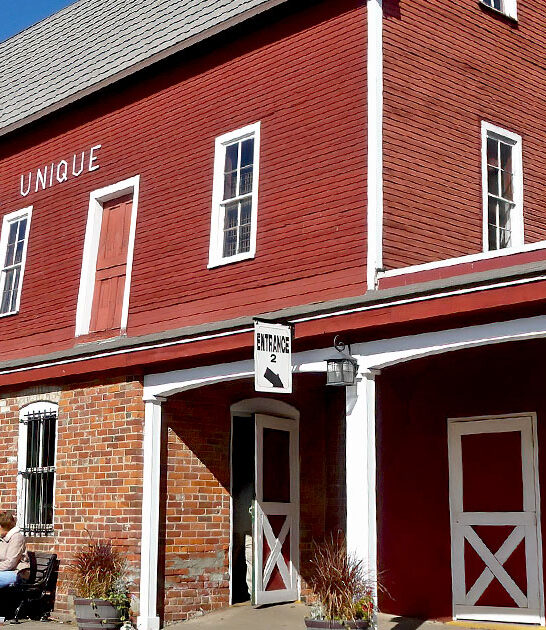 apple cider slushies michigan ftr
