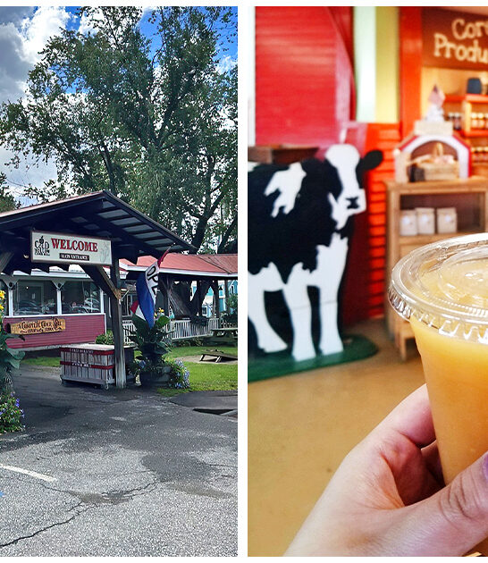 apple-cider-slushies-vermont FTR