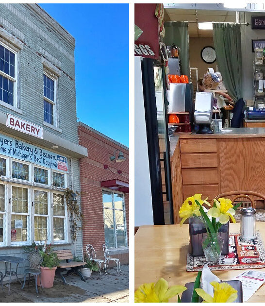 apple-fritters-michigan-restaurant FTR