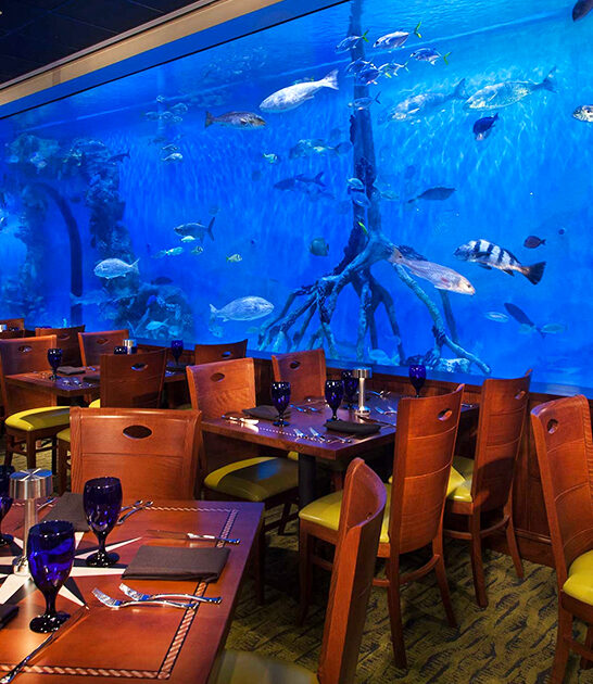aquarium florida restaurant ftr