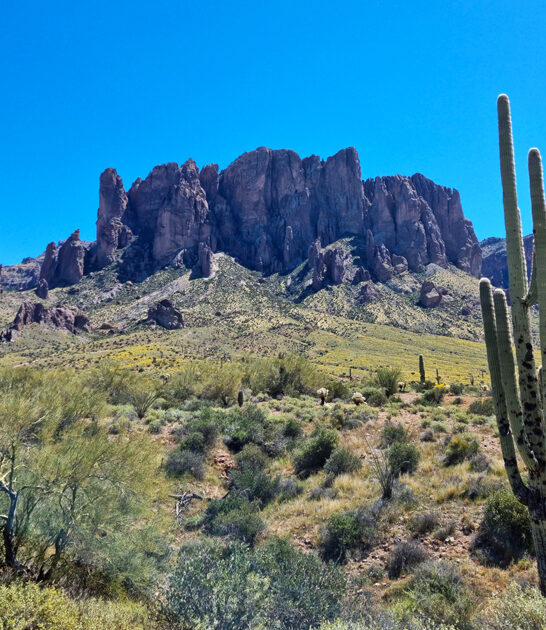 arizona beautiful state park ftr
