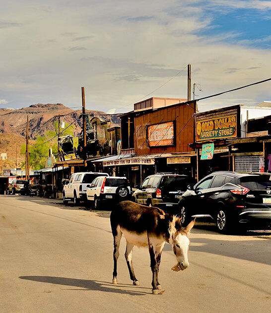 arizona historic ghost town ftr