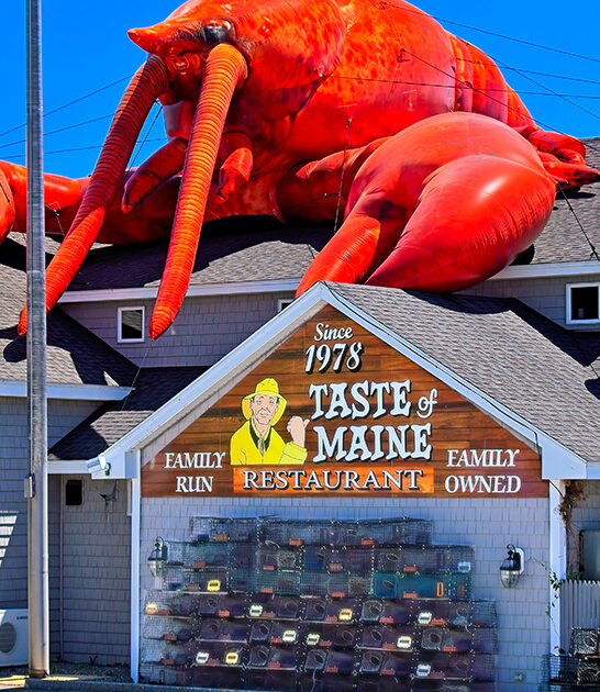 baked haddocks maine restaurant ftr