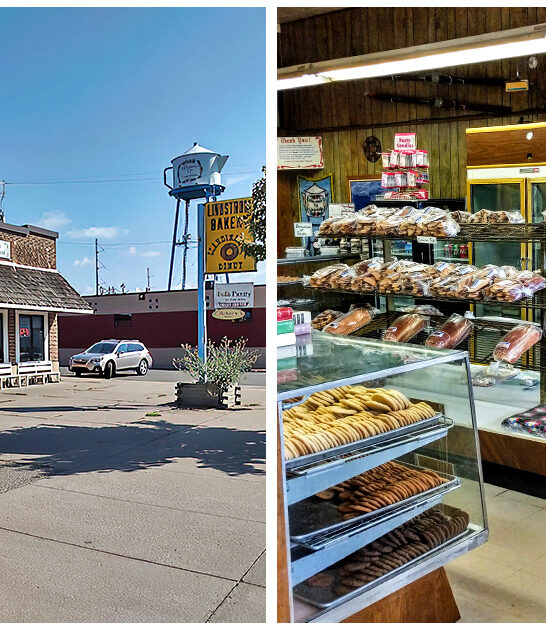 bakeries-scandivanian-treats-minnesota FTR