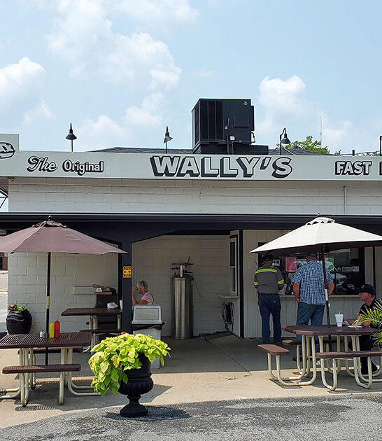 best double cheeseburgers illinois ftr