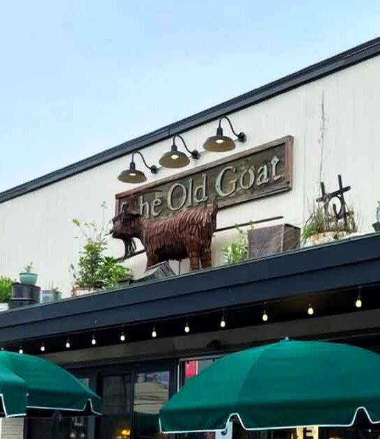 best jambalaya michigan ftr