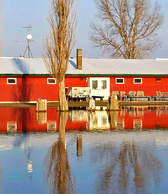 best ribs minnesota ftr