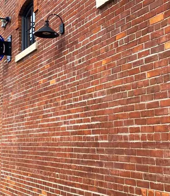 best scallops minnesota ftr