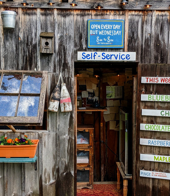 best shepherds pie vermont ftr