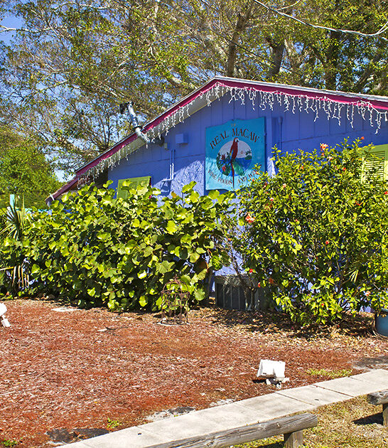 carribean restaurant calamari florida ftr