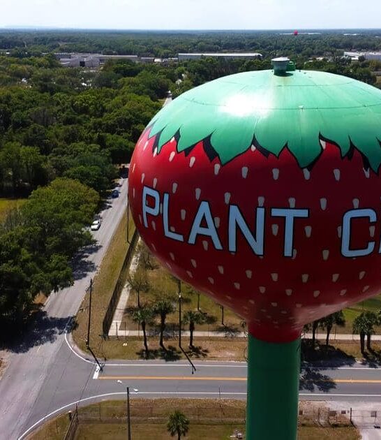 charming florida small town ftr