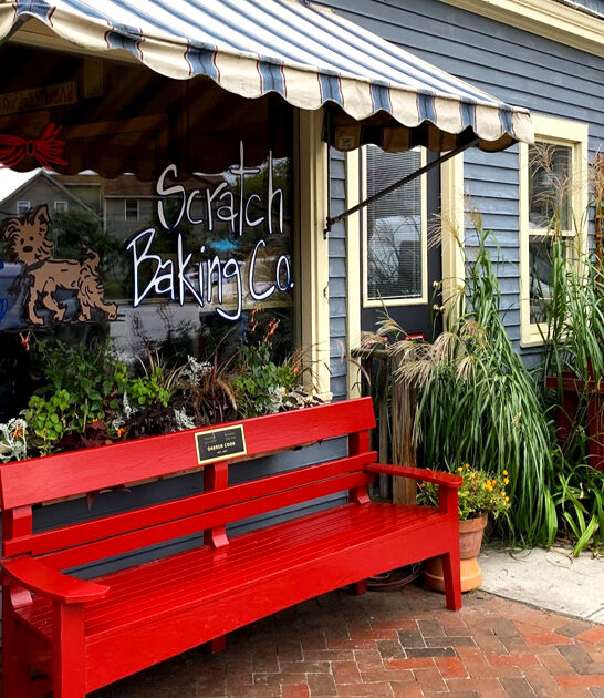 chocolate chip cookies maine ftr