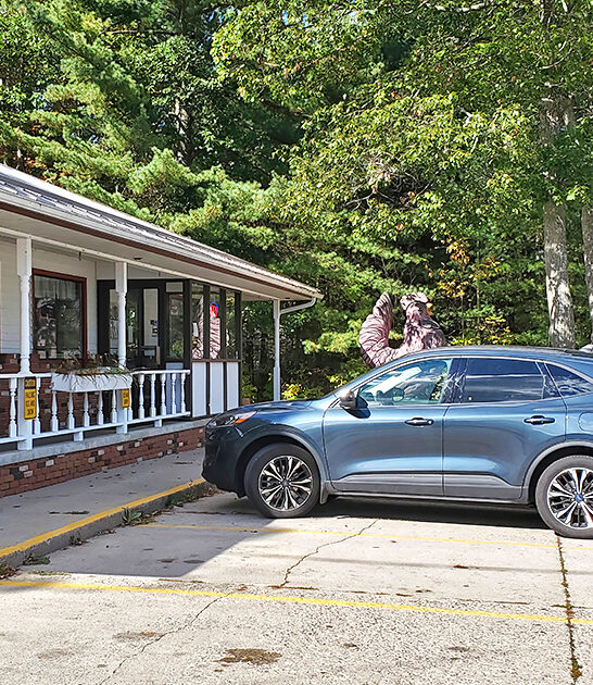 crunchy waffles restaurant michigan ftr