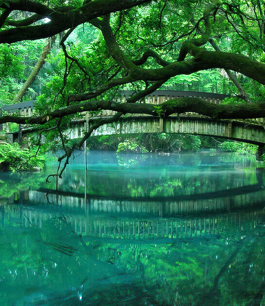 crystal blue spring florida ftr
