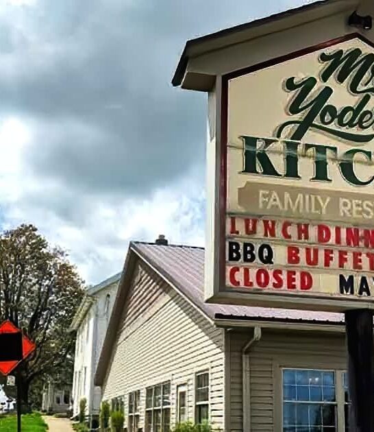 delicious blackberry pies ohio ftr