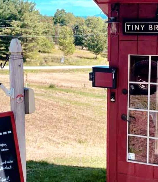 delicious donuts vermont ftr