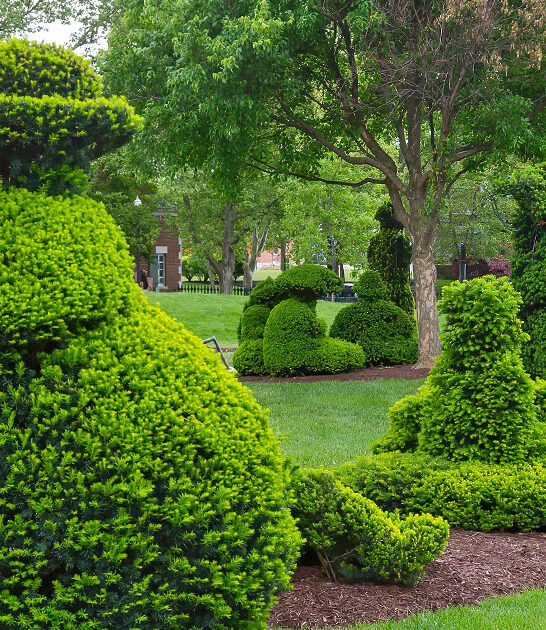 enchanting topiary garden ohio ftr