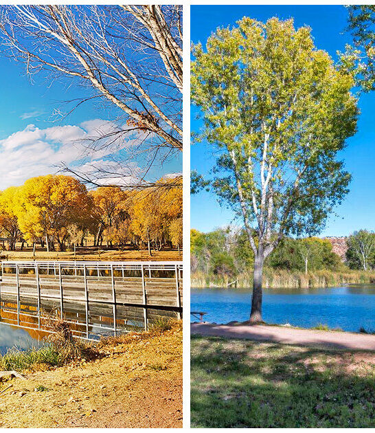 fall state park arizona ftr
