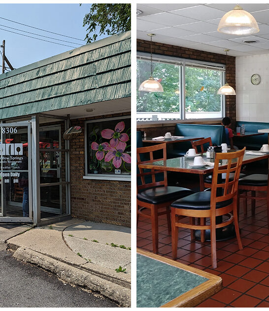 famous-skillet-illinois ftr