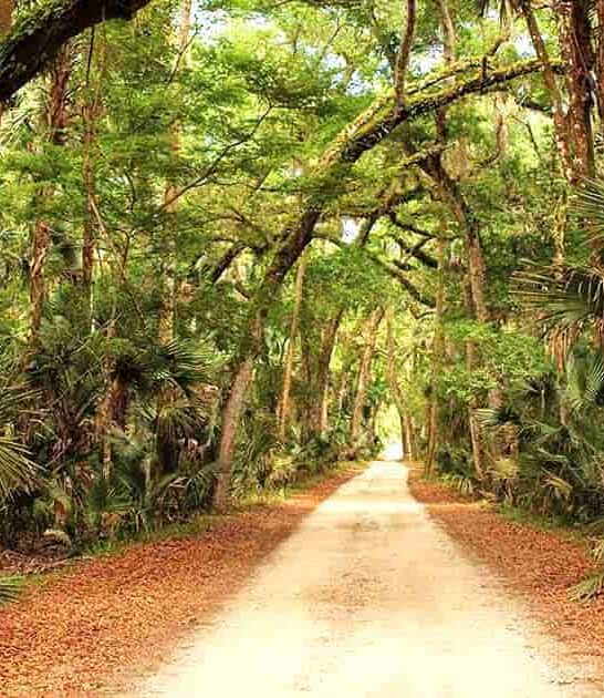 fascinating state park florida ftr