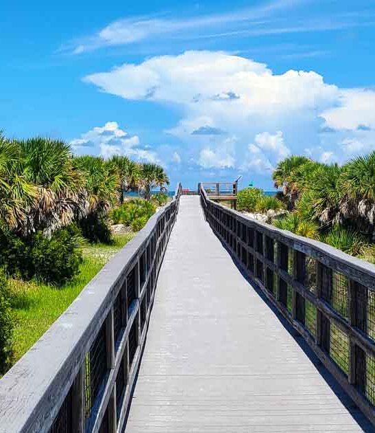 florida caladesi island trail ftr
