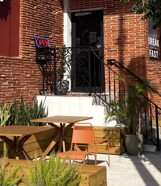 florida chicken wings ftr