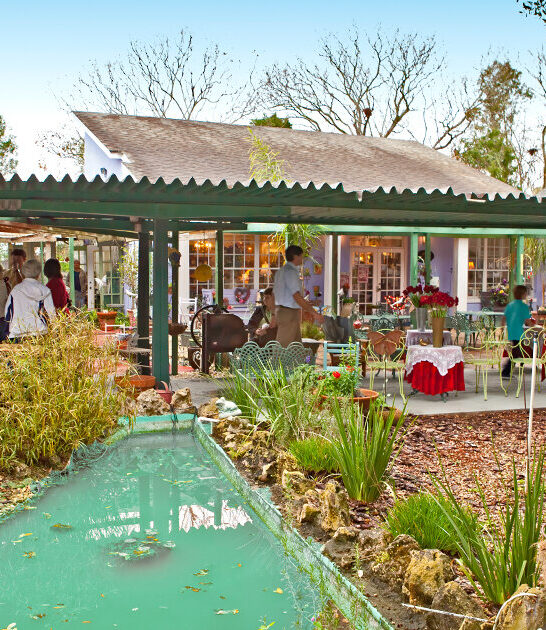 florida lavender n lace ftr