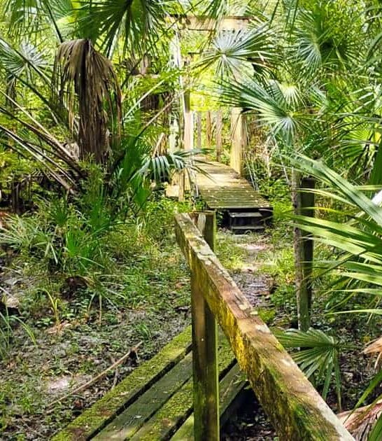 florida rice creek leeve ftr