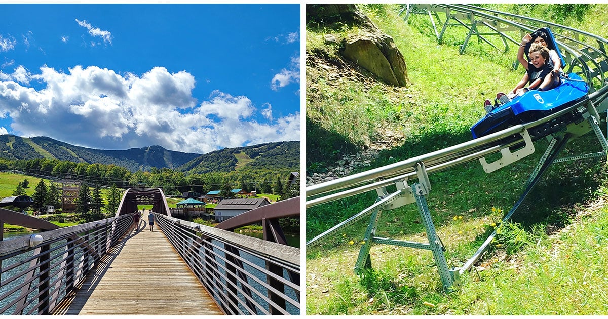 This Insanely Fun Mountain Coaster In Vermont Take You On An ...