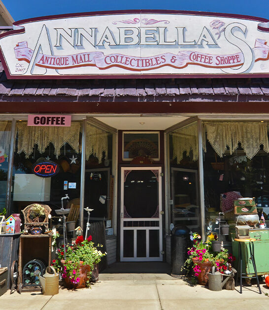 funky minnesota antique shop ftr