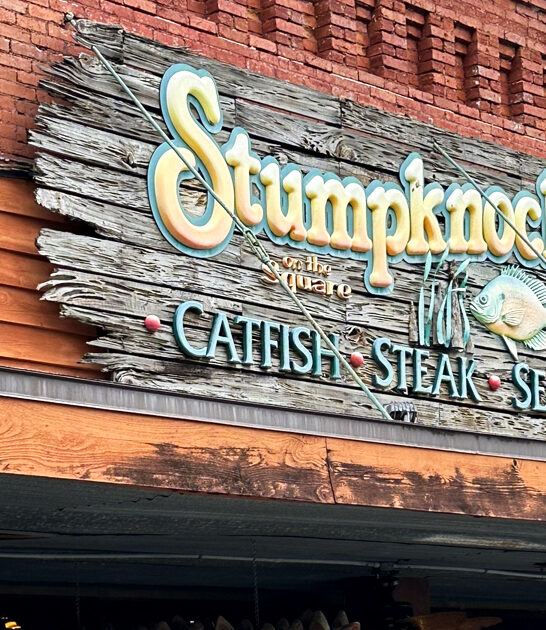 gator nuggets florida ftr