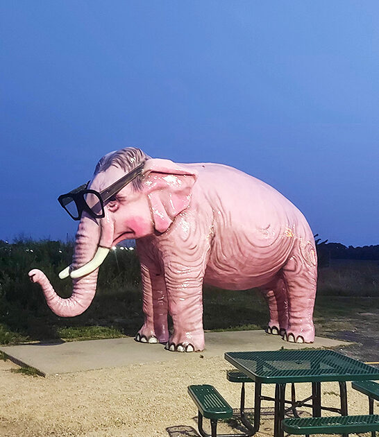 giant attractions wisconsin ftr