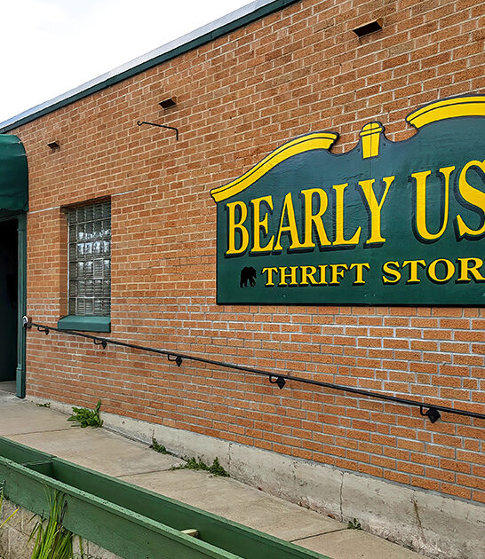 giant thrift store minnesota ftr