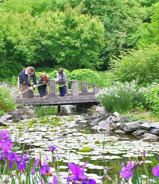 gorgeous botanical garden illinois ftr
