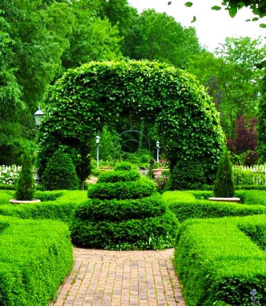 gorgeous formal garden ohio ftr