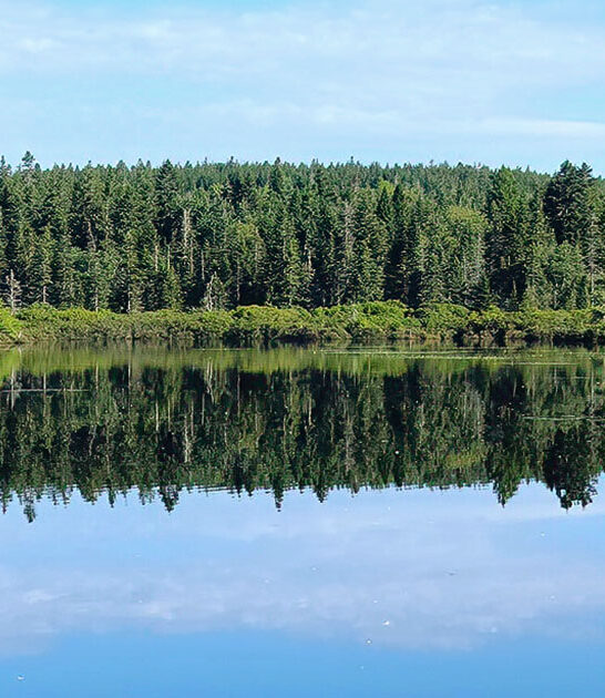 gorgeous lake maine ftr